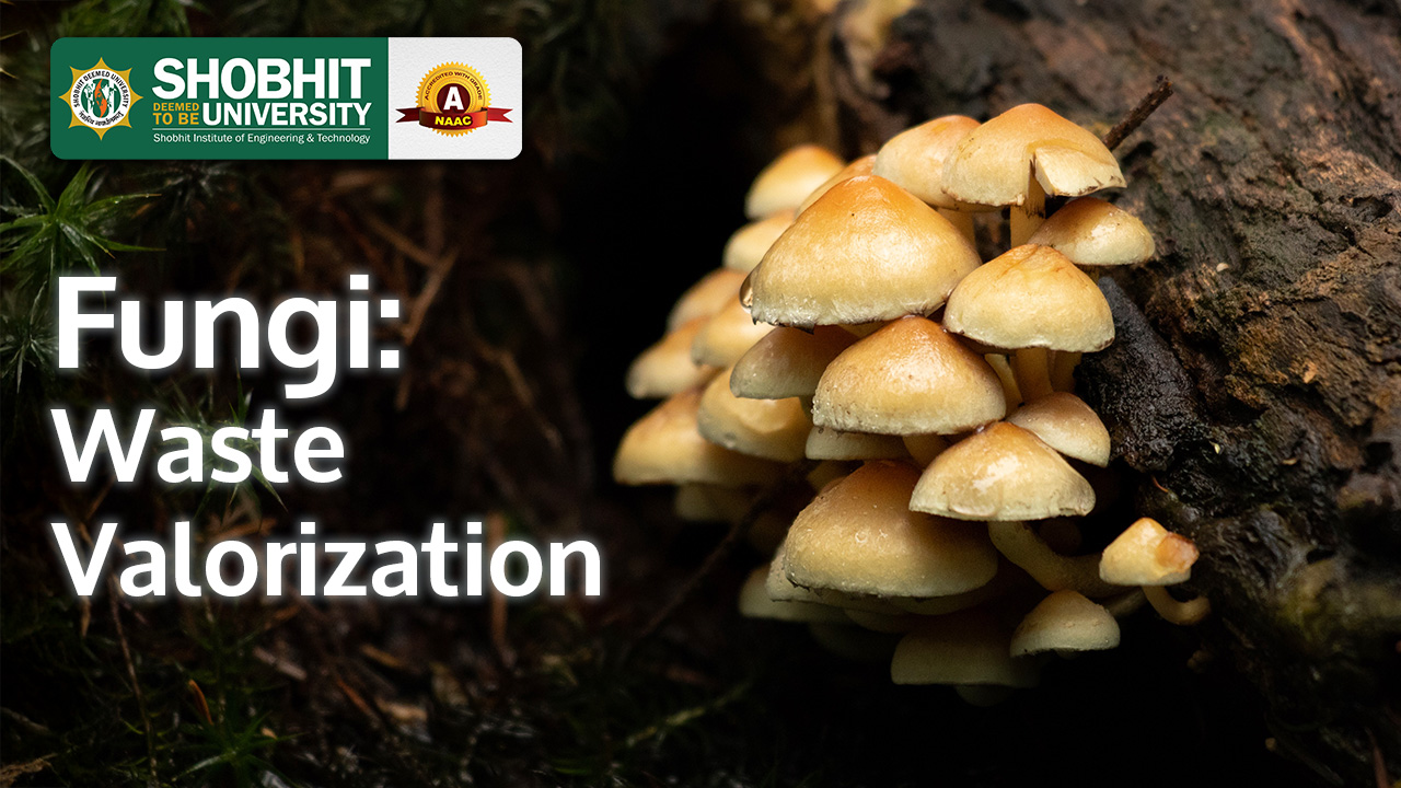 Fungi in Waste Valorization: Turning Waste into Wealth
